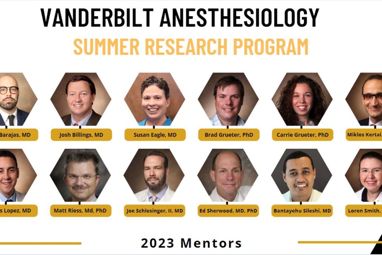 Vanderbilt Anesthesiology Summer Research Program | Department of ...