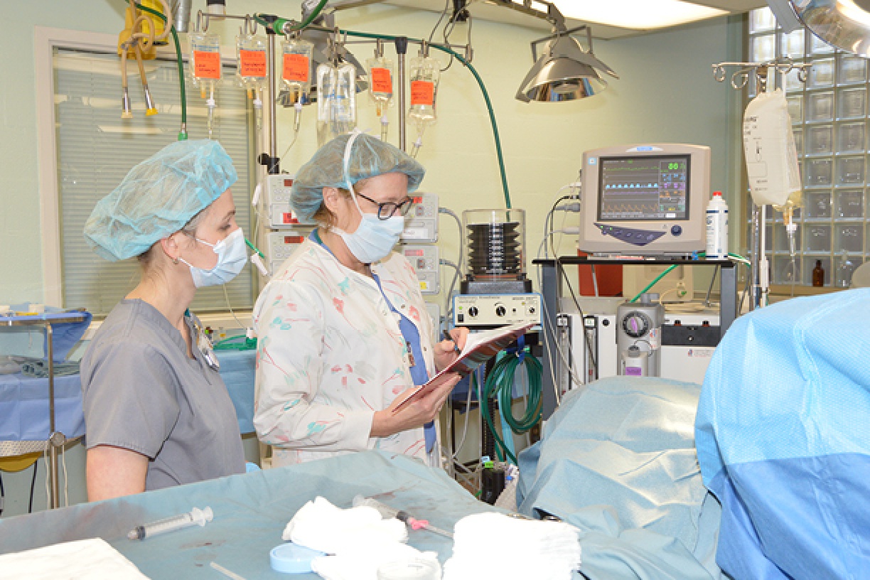 Laboratory for Organ Regeneration, Recovery, and Replacement (LOR3 ...