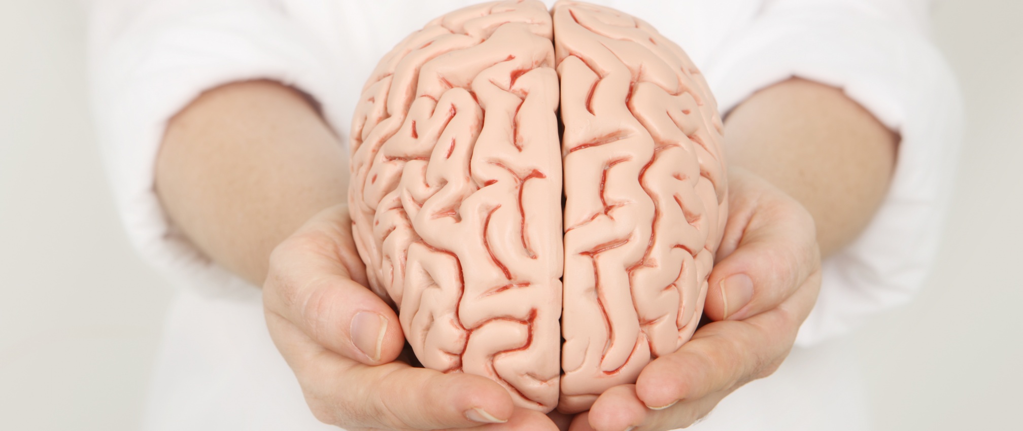 BrainDonation | Vanderbilt Center for Cognitive Medicine