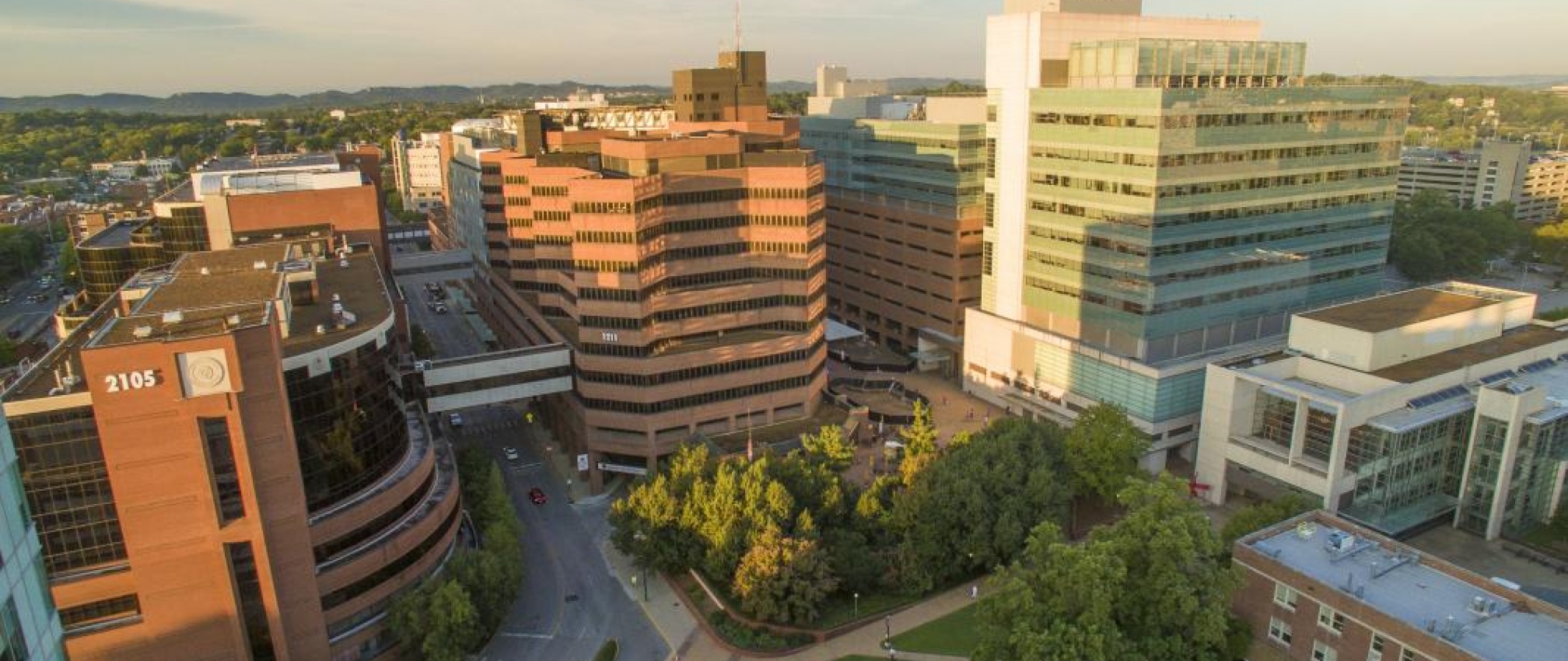 Organizational Structure