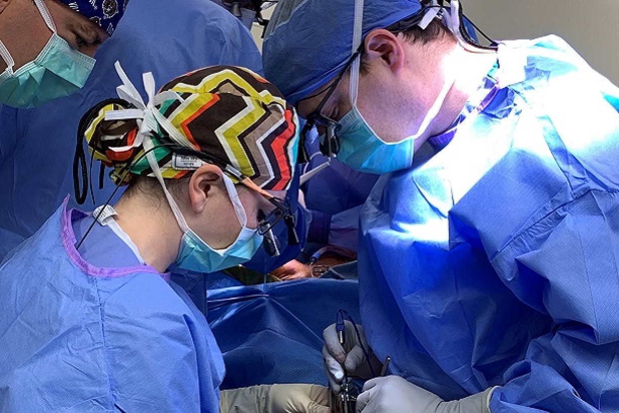 Head and Neck, Cranial Base and Microvascular Reconstructive Surgery ...