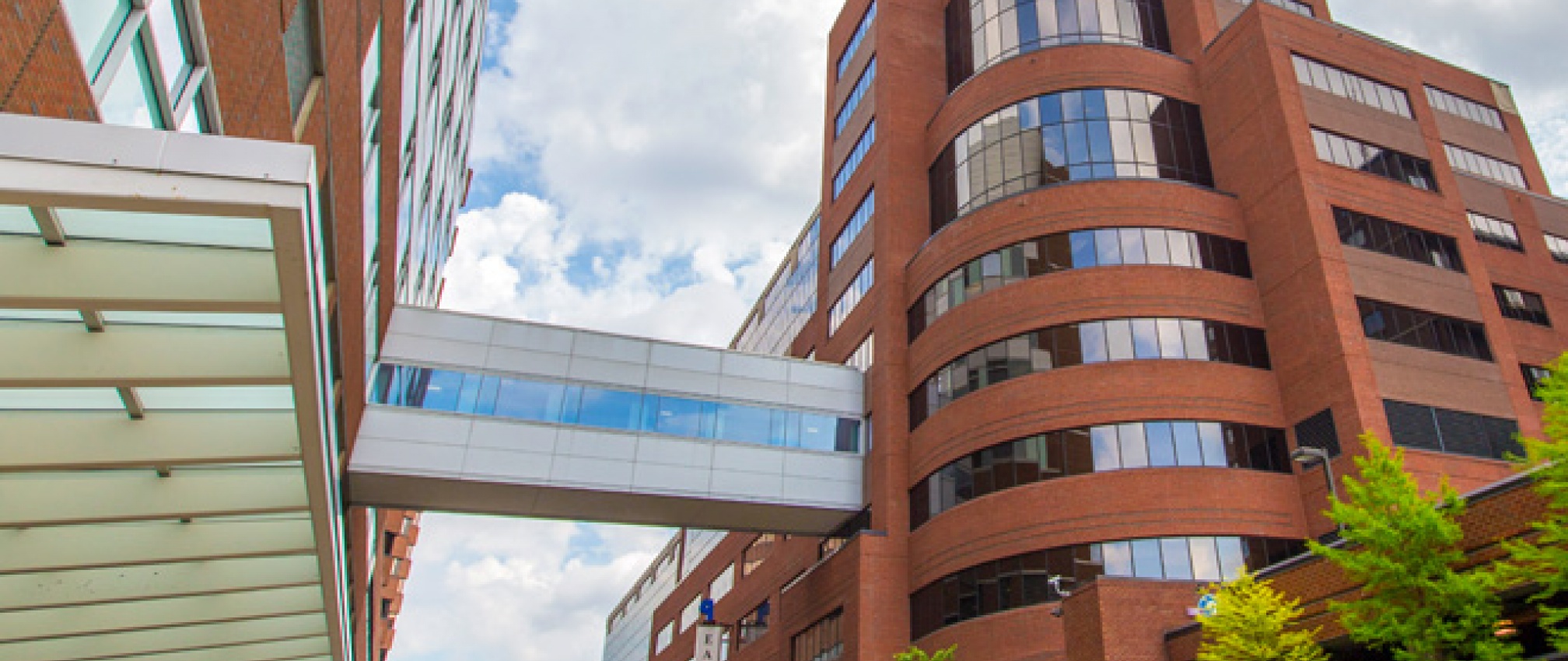 VUMC Department of Infection Prevention | Department of Infection ...