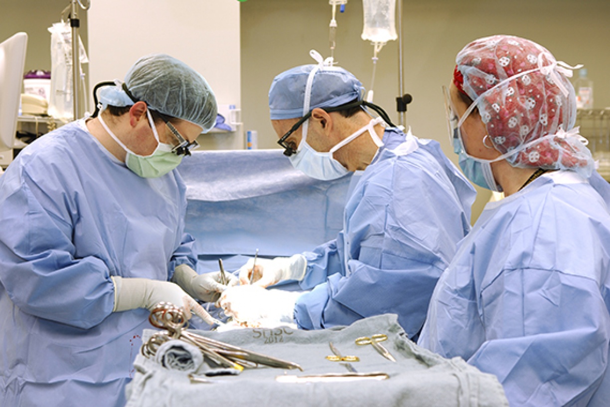 Residency Education | Division of Kidney & Pancreas Transplantation