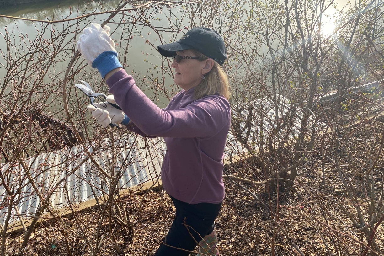 Jacqueline Ansell, MD Faculty Spotlight | Department of Neurology