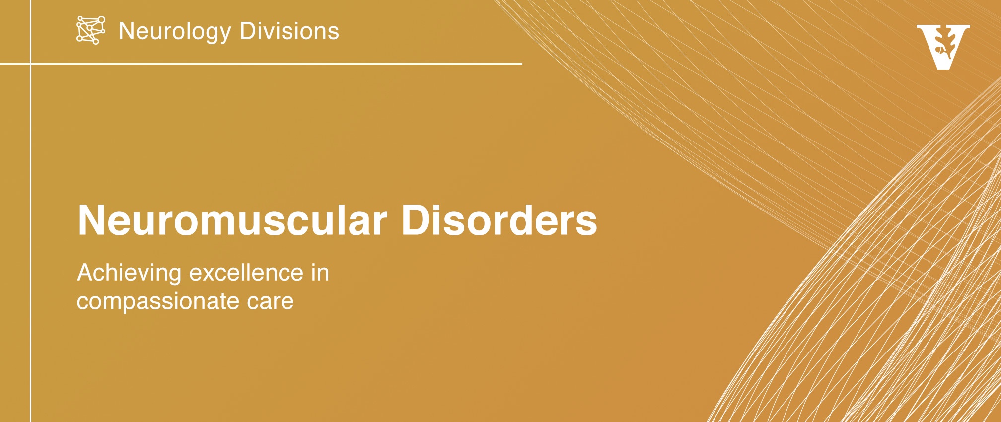 Neuromuscular Disorders | Department of Neurology