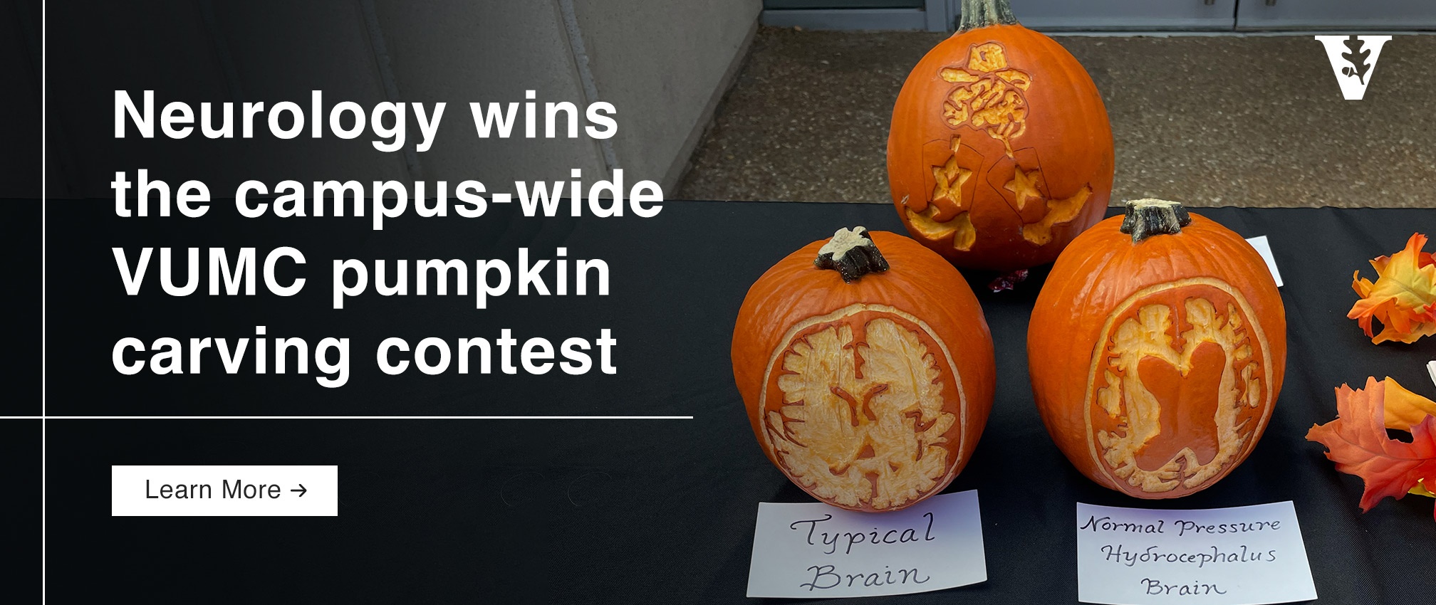 Vanderbilt Neurology Wellness | Department of Neurology