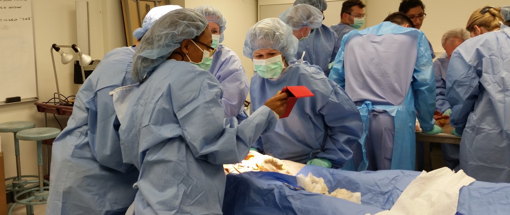 Education | Department of Obstetrics and Gynecology