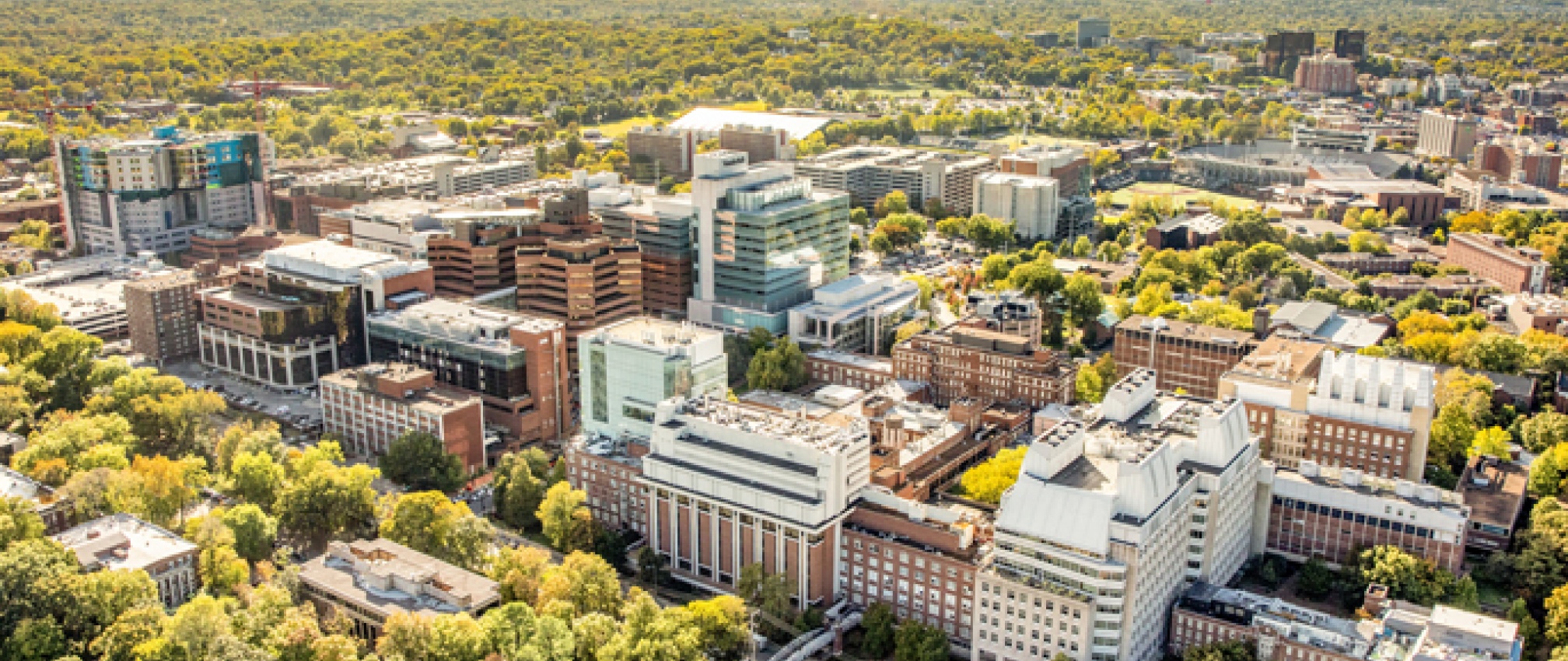 Office of Government and Community Affairs