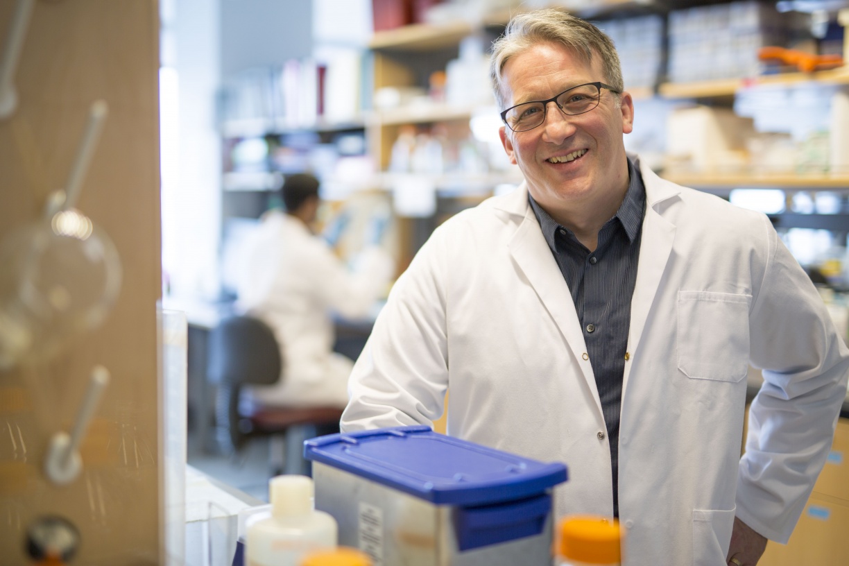 Research | Department of Ophthalmology and Visual Sciences