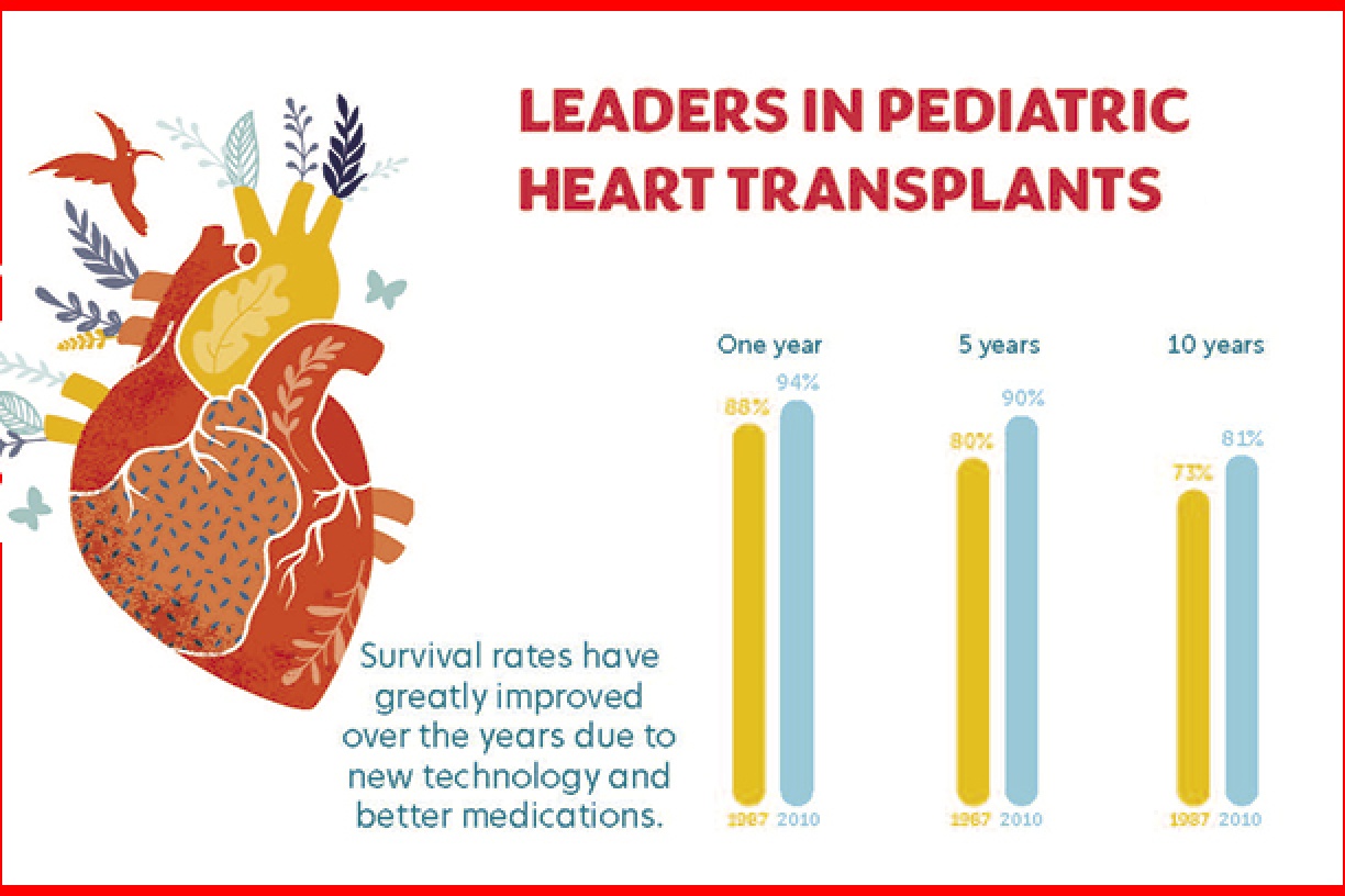 Welcome | Division of Pediatric Cardiac Surgery