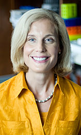 Jennifer A. Pietenpol, Ph.D. | Pietenpol Lab