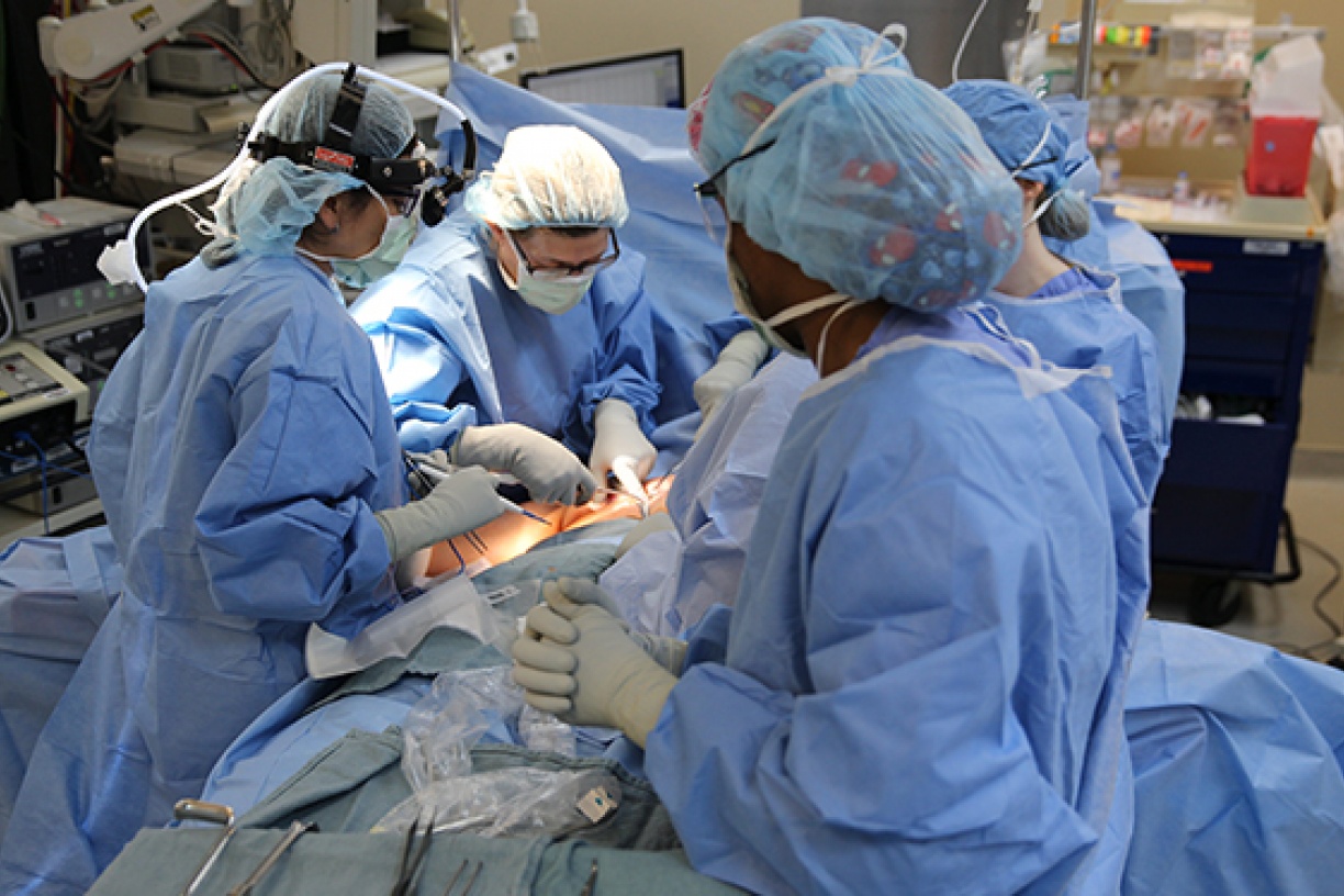 Discover Vanderbilt Surgical Oncology & Endocrine Surgery | Division of ...