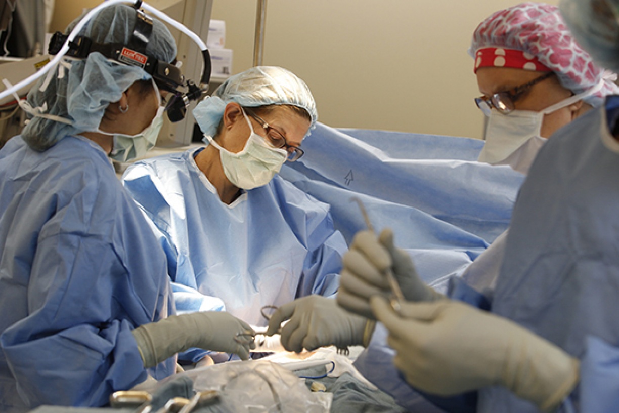 Breast Surgery Fellowship | Division of Surgical Oncology & Endocrine ...