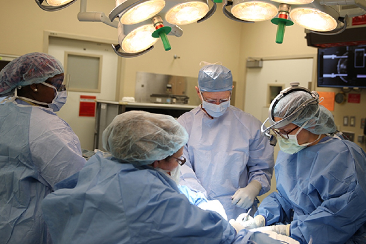Education & Training | Division of Surgical Oncology & Endocrine Surgery