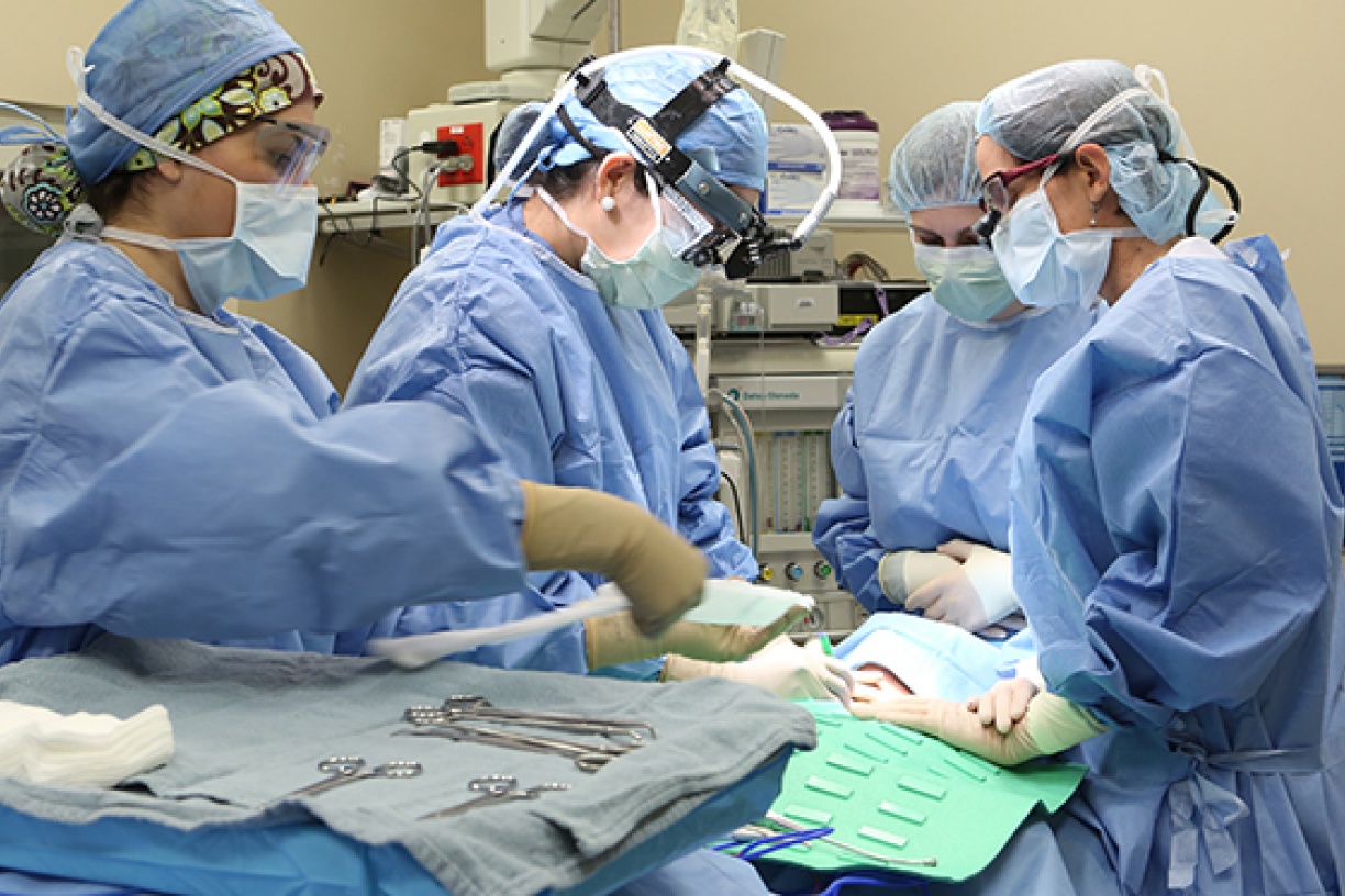 Neuroendocrine Center | Division of Surgical Oncology & Endocrine Surgery