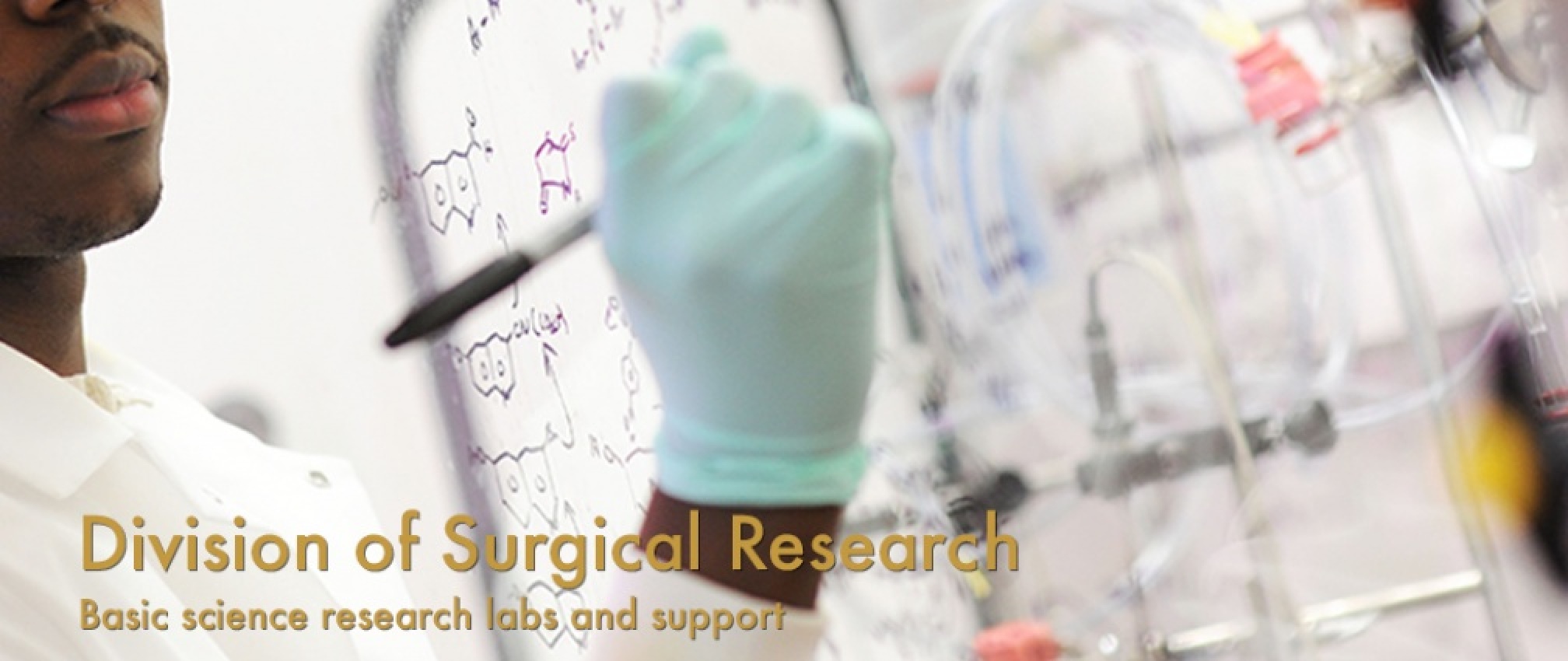 Areas of Research | Vanderbilt Surgical Research