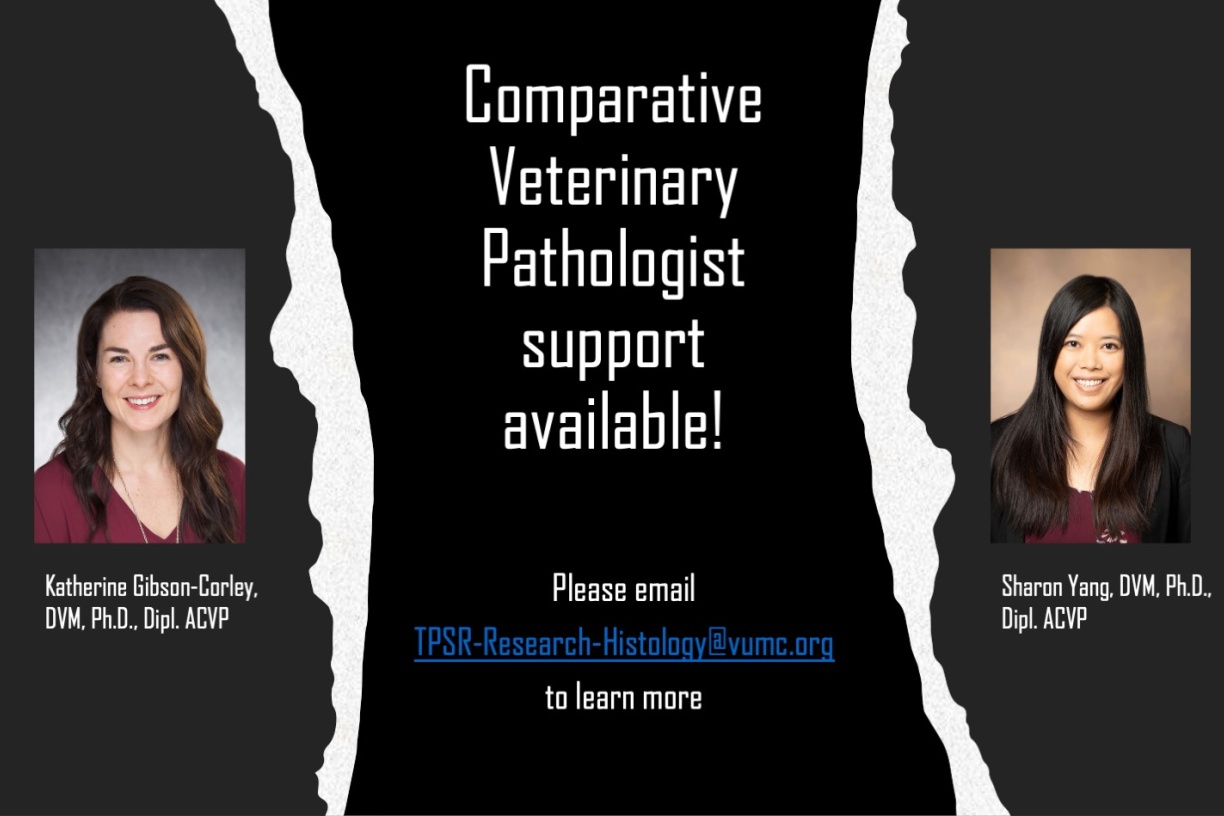 Welcome | Translational Pathology Shared Resource