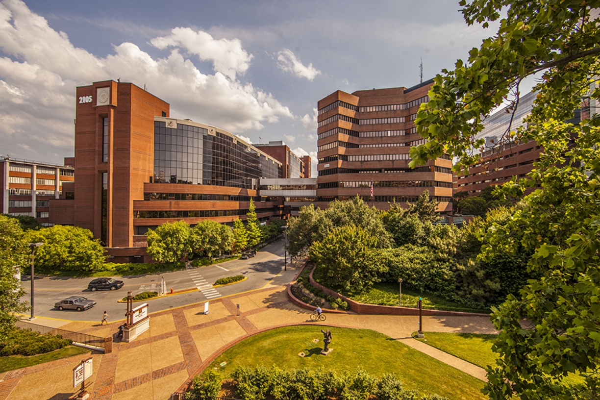 Fellowship and Residency Training Program | Department of Vascular Surgery