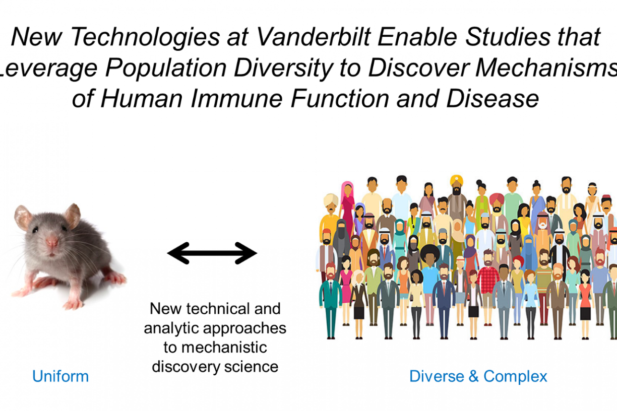 The HIDI Team | Vanderbilt Center for Immunobiology