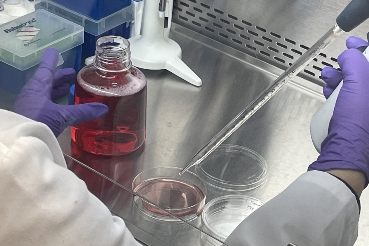 About the Lab | Vanderbilt Voice Biology Lab